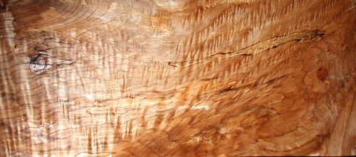 Spalted & Figured Maple