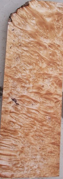 Spalted & Figured Maple